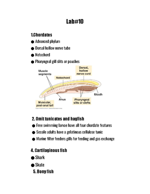 Biology 102 Laboratory Midterm Lab Practical Study Guide - Biology 102 ...