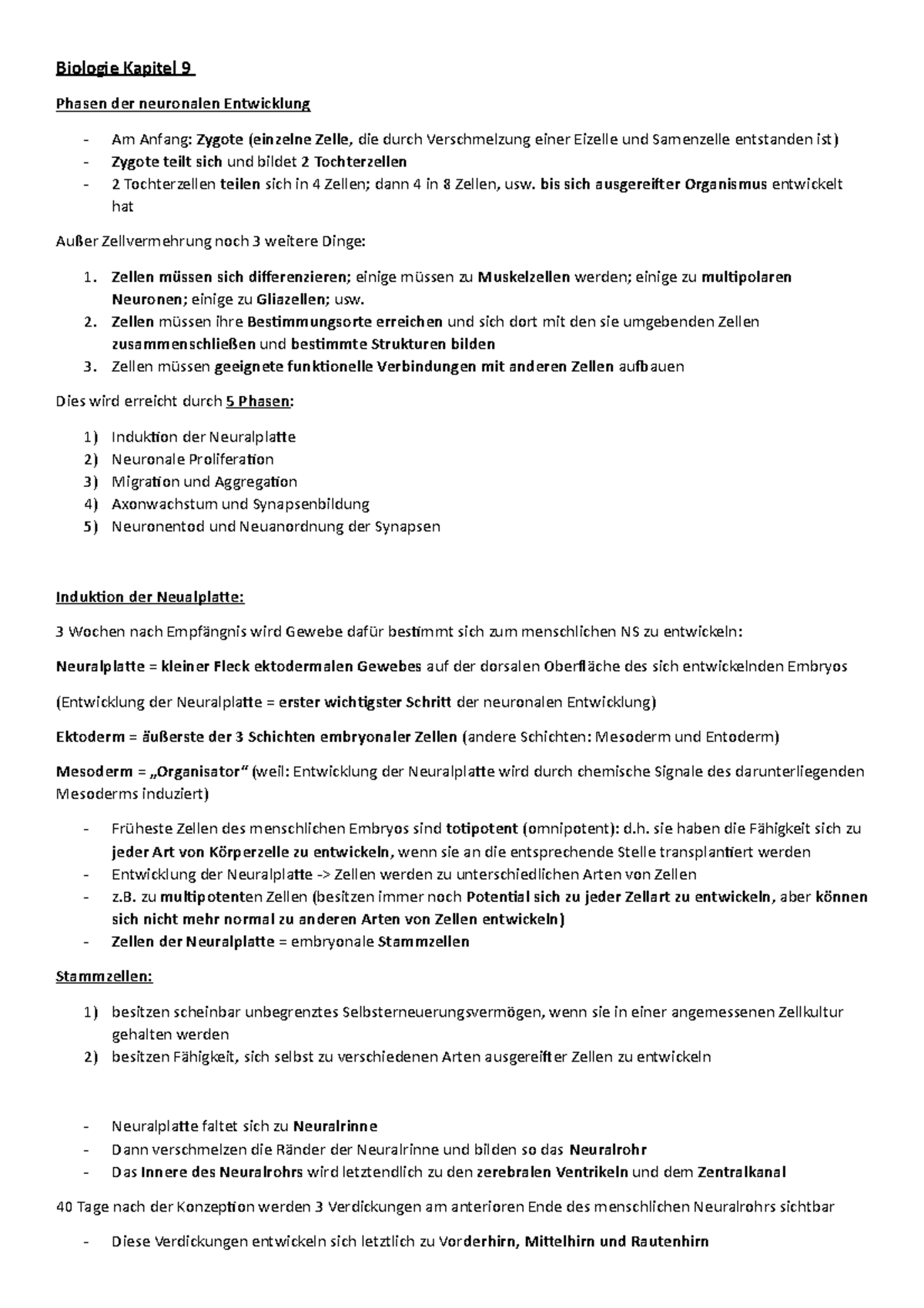 Biopsychologie Kapitel 9 - Biologie Kapitel 9 Phasen der neuronalen ...