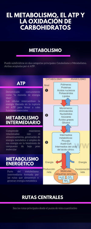 Asma - infografía del asma - Ama y su Espesialista el Neumologo Colegio ...