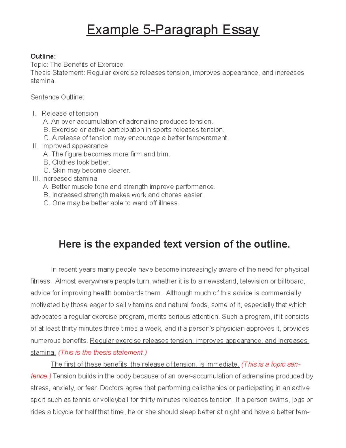 Example 5-Paragraph Essay - Example 5-Paragraph Essay Outline: Topic ...