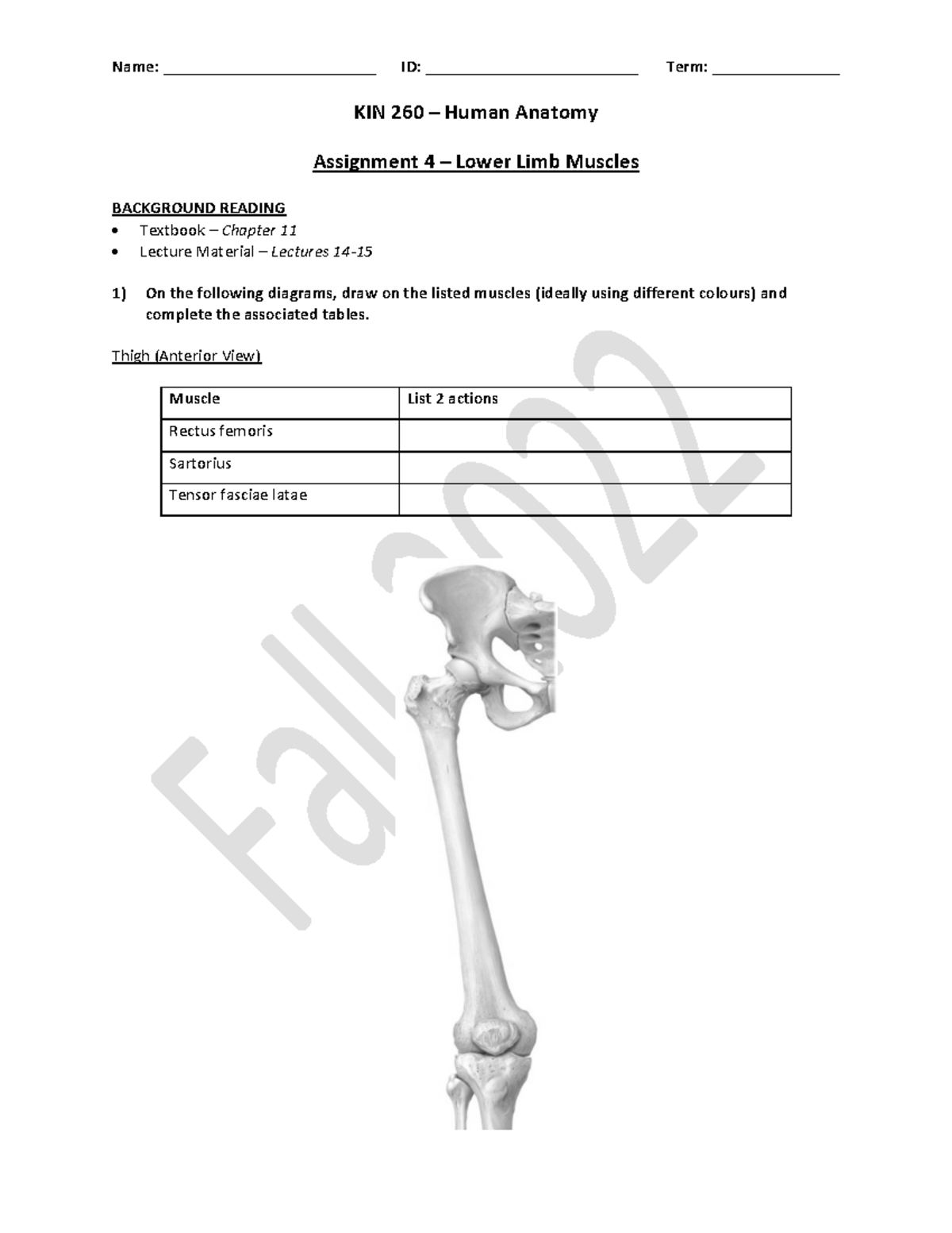 Assignment-4-1 - ANATOMY - Name: _________________________ ID ...