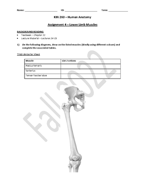 Assignment-1-1 - ANATOMY - Name: _________________________ ID ...