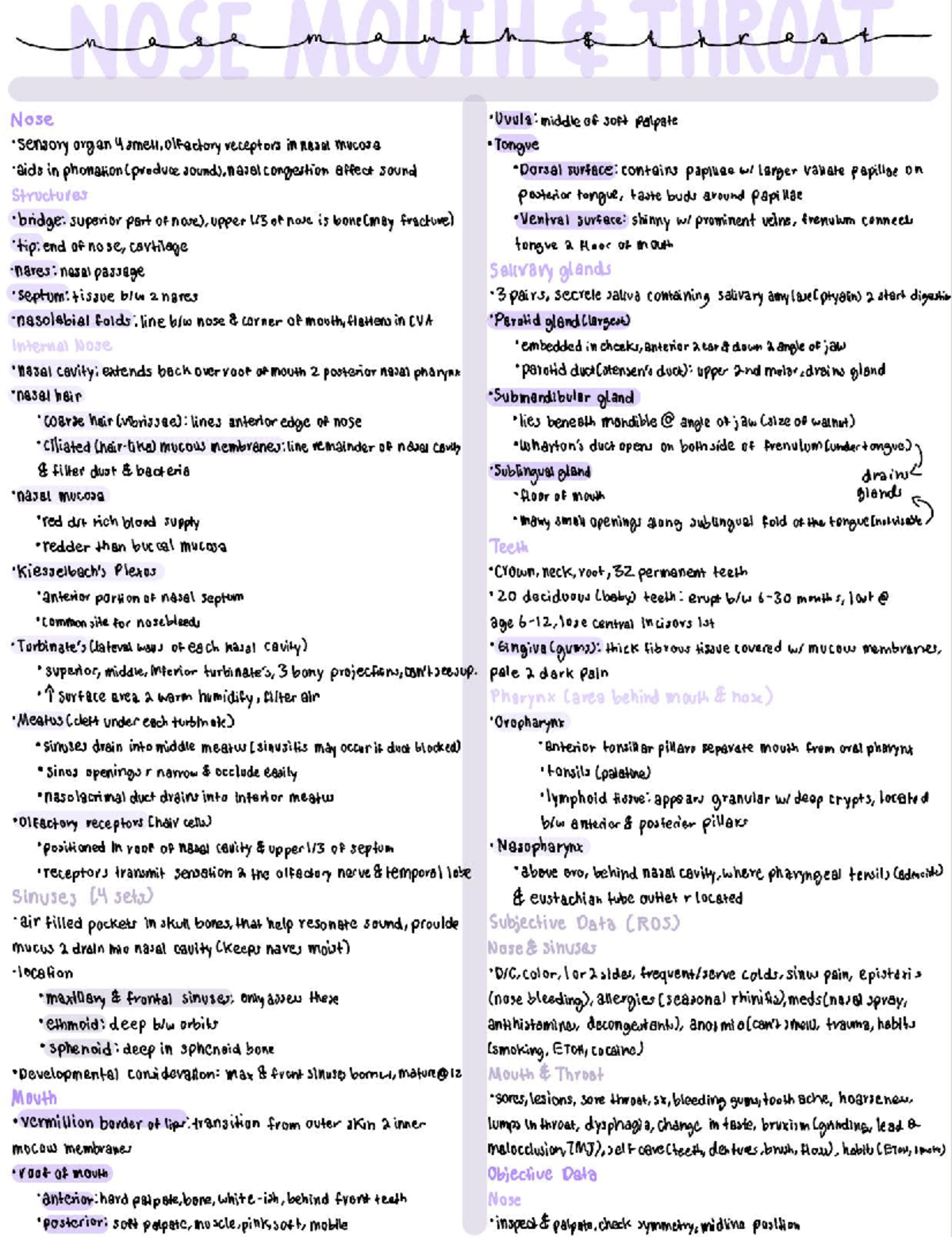 Nose mouth and throat - Lecture notes test 2 - NURS-202 - SDSU - Studocu