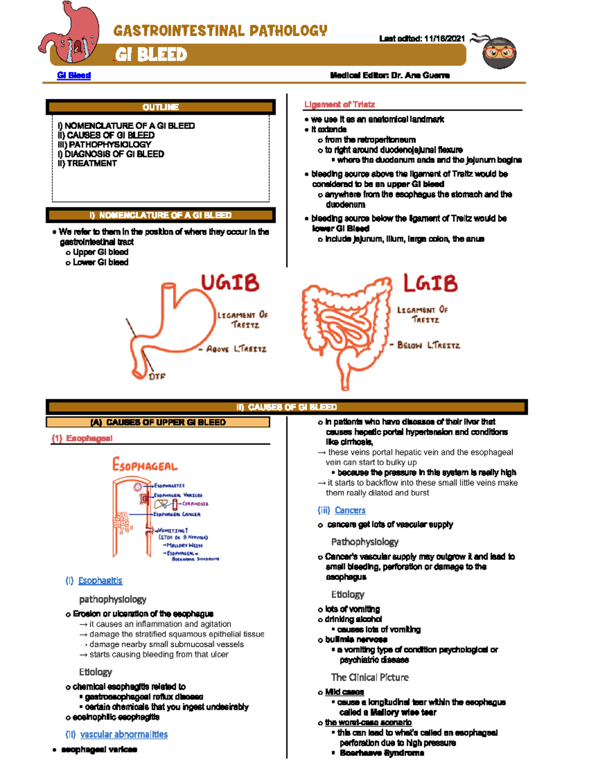 Gastrointestinal GI Bleed patho - BIO 320 - Studocu