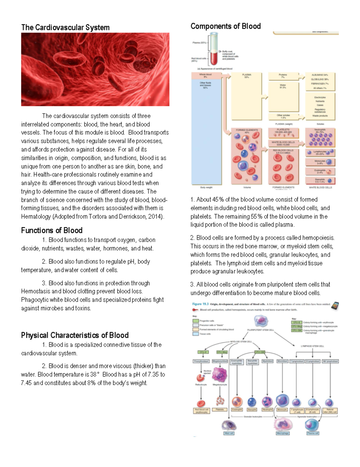 Physiology Lec- The Cardiovascular System - Fundamentals of Biology ...