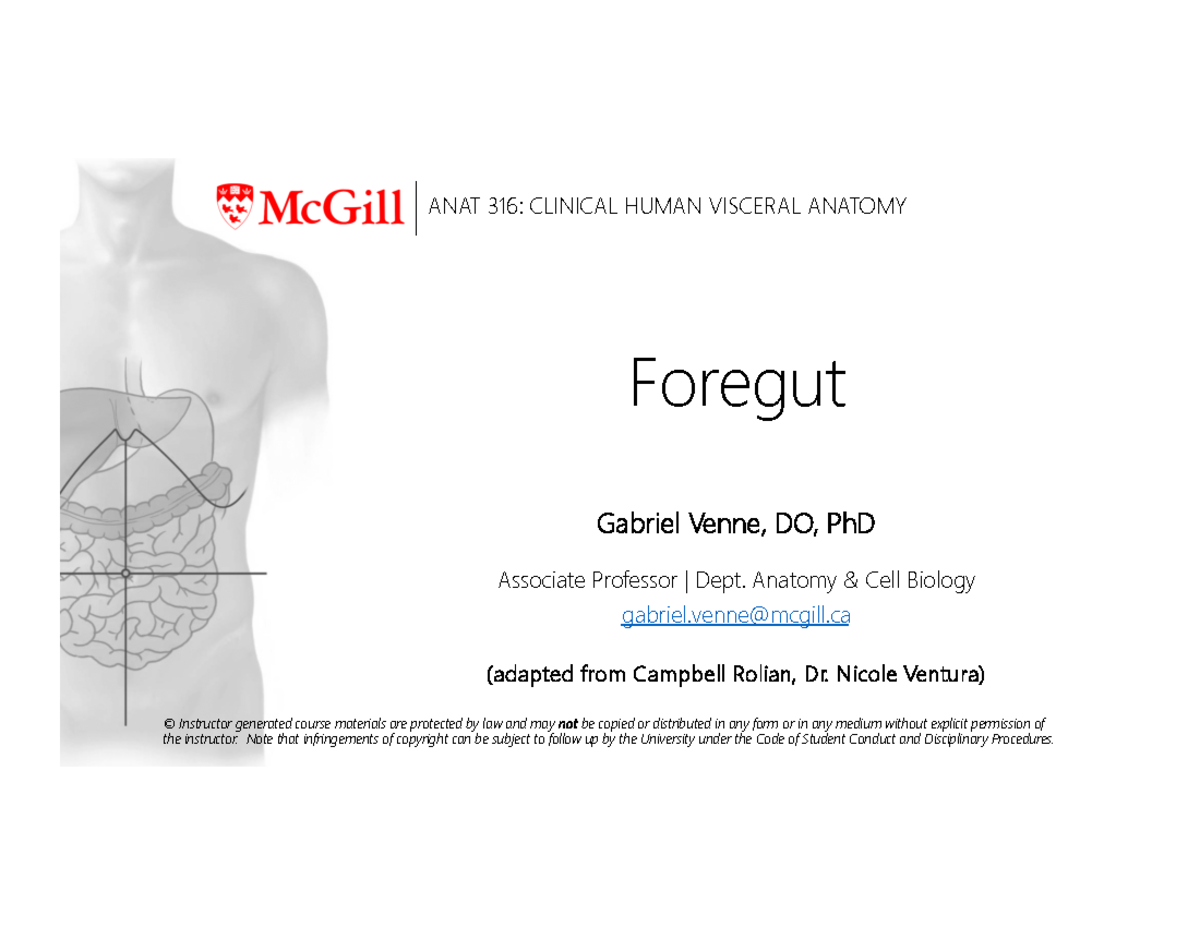 ANAT 316 16 Foregut (2024) - ANAT 316: CLINICAL HUMAN VISCERAL ANATOMY ...