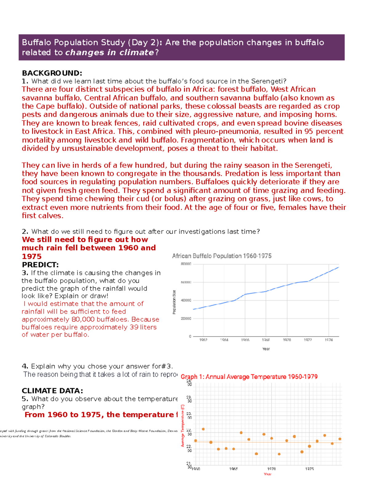 Buffalo Population and the animals in africa #2 - Buffalo Population ...