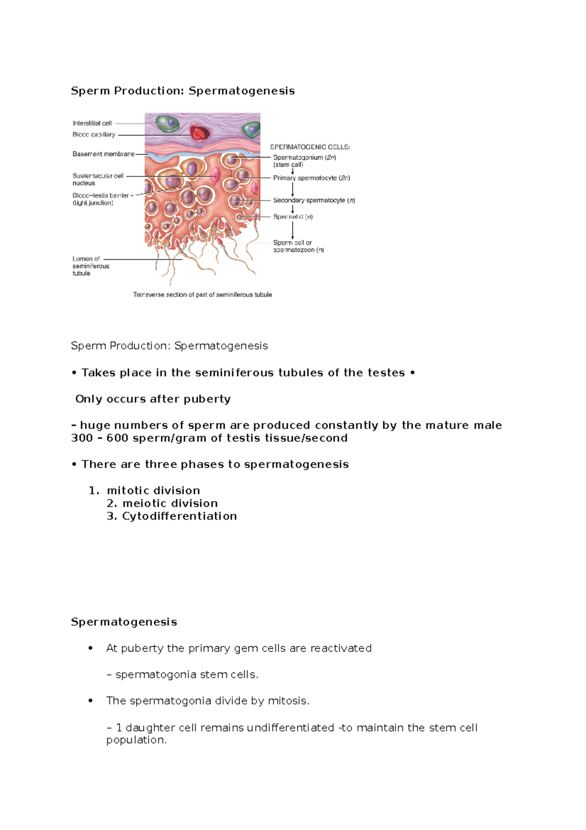 Biosci 107 lec 16 - Lecture notes 16 - Sperm Production ...