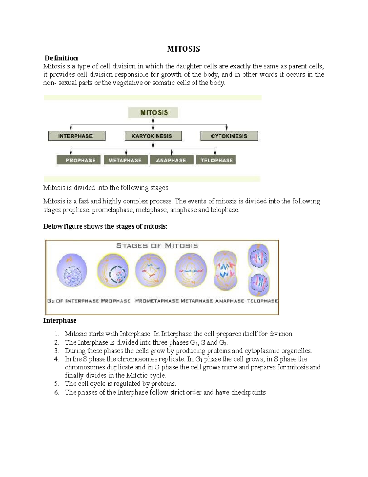 Mitosis - Lecture notes 1-2 - Cell Biology - SGBAU - Studocu