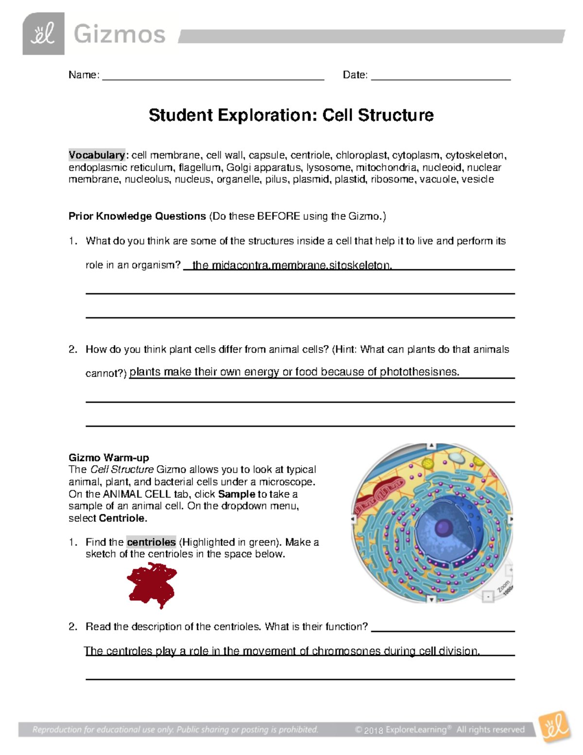 CSLab 4.3 Cell Structure and function - Name ...