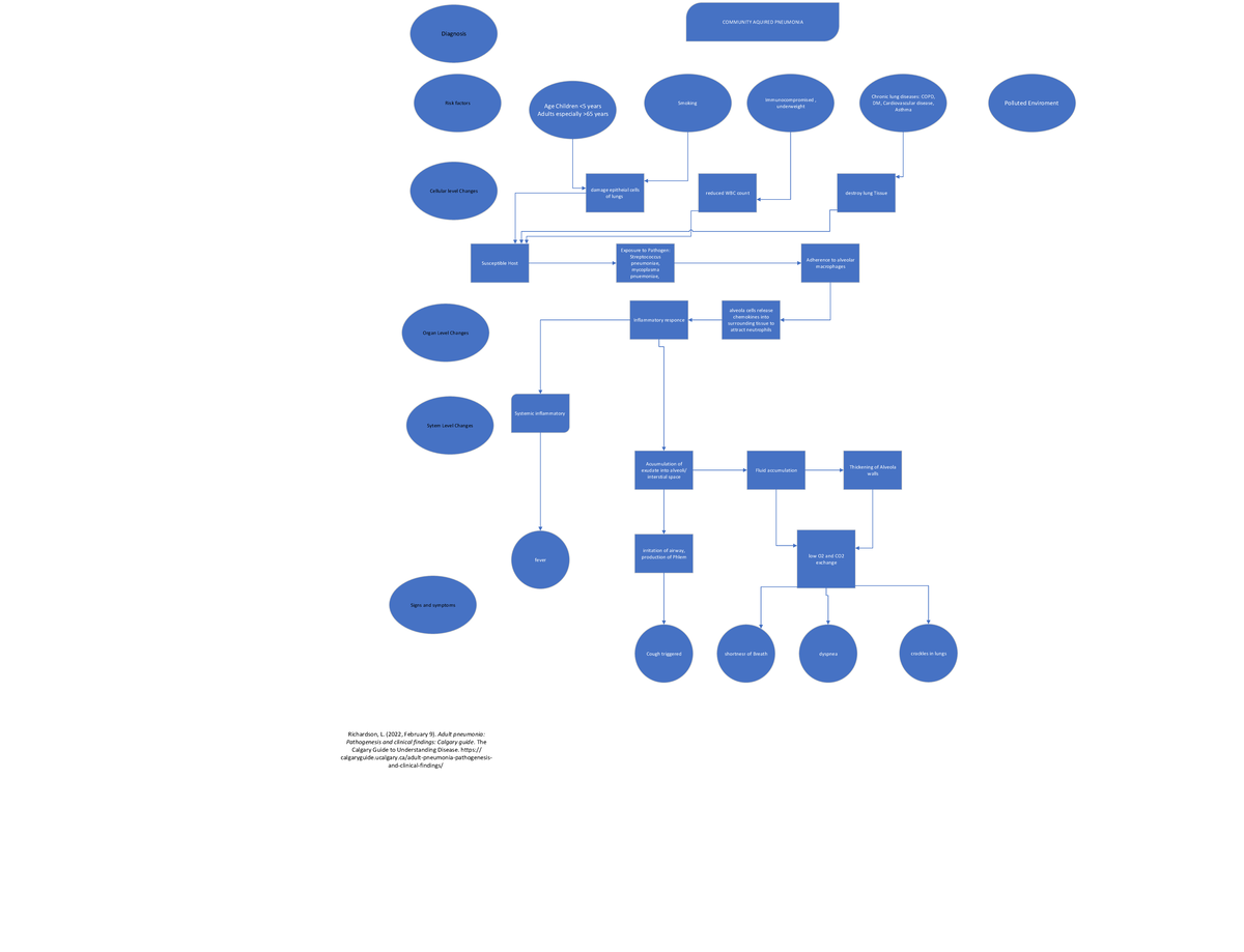 Community Aquired Pneumonia Patho Tree - Diagnosis Risk factors ...