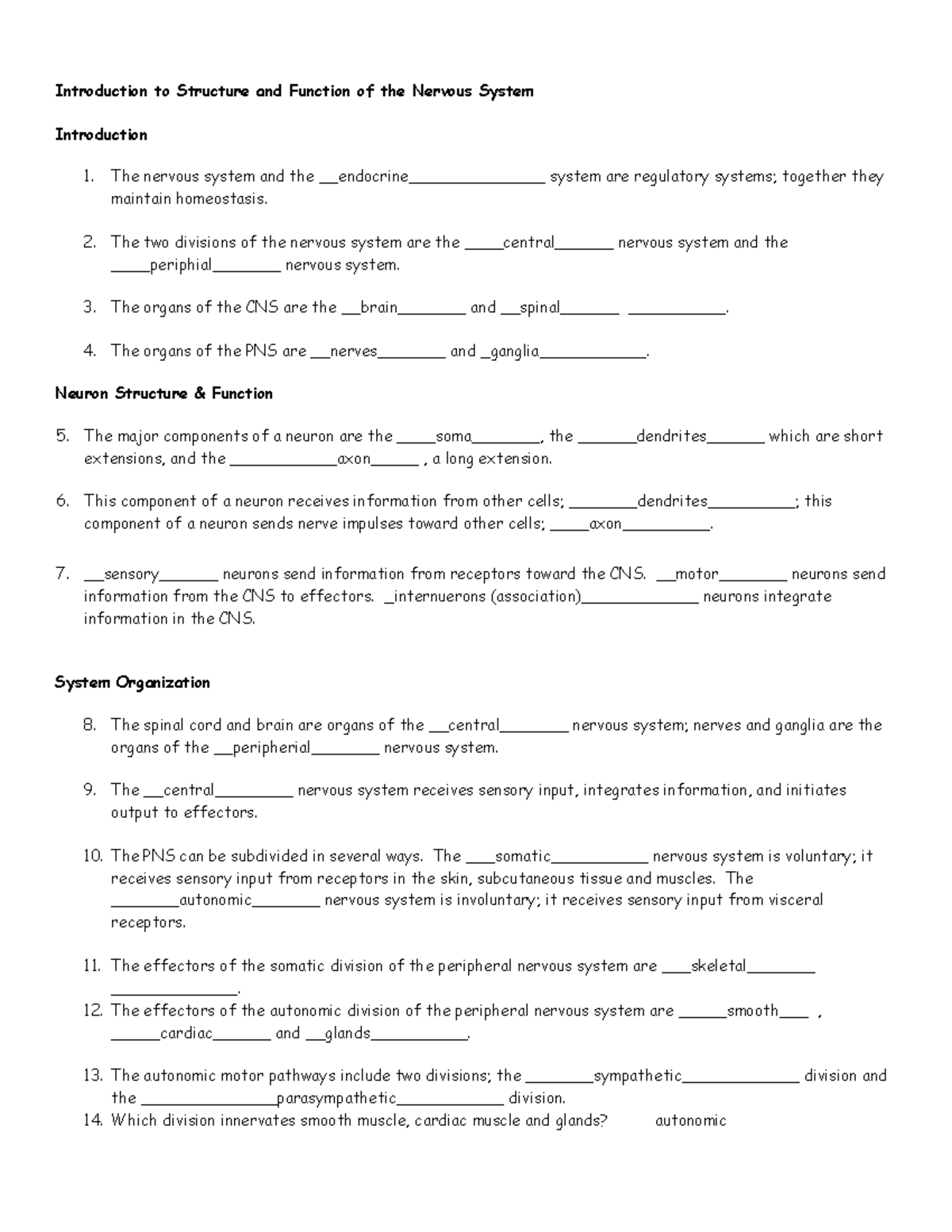Ch 12 nervous system worksheet f18 - Introduction to Structure and ...