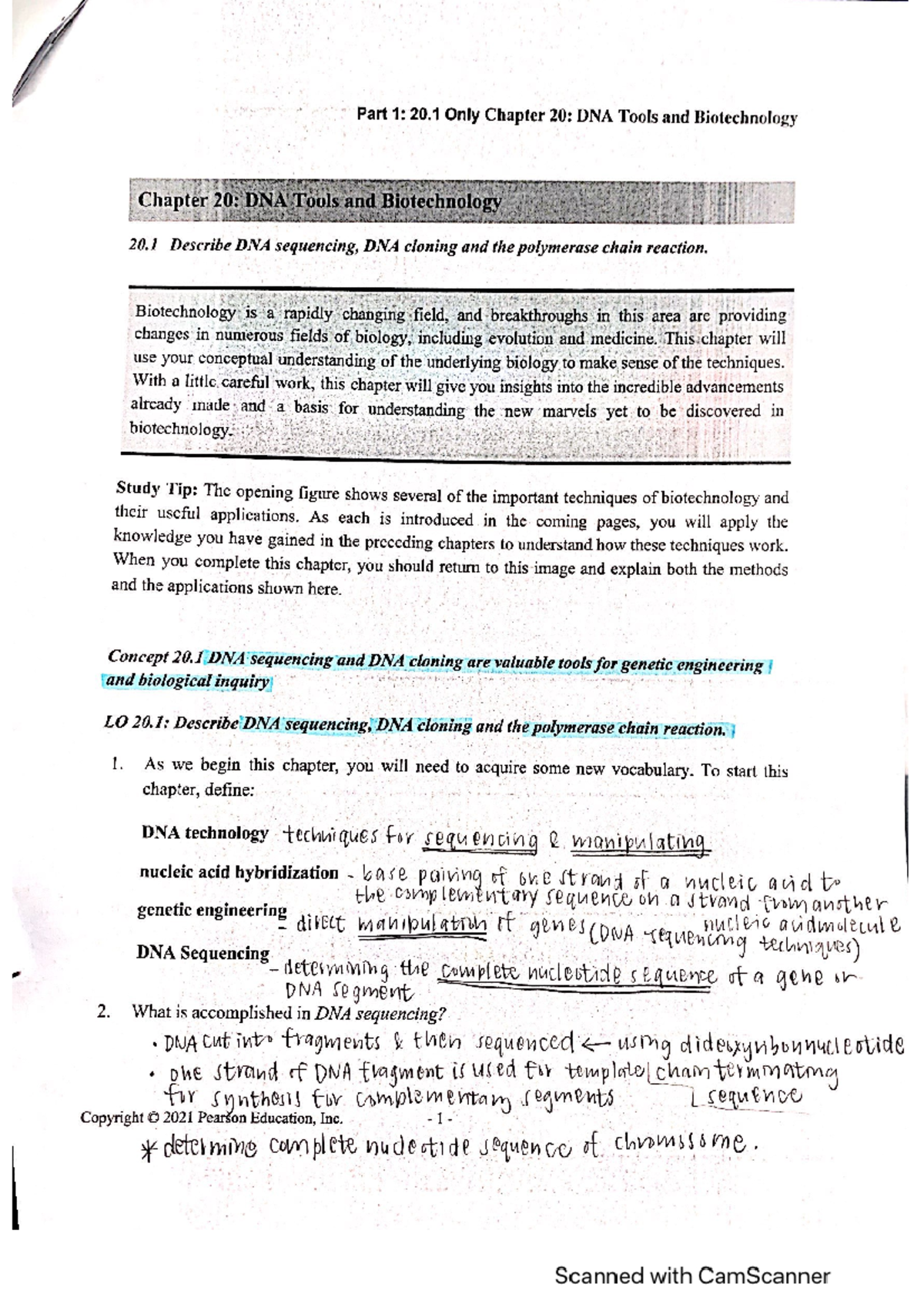 Chapt 20.1 reading guide - BIOL_SCI 201 - Studocu