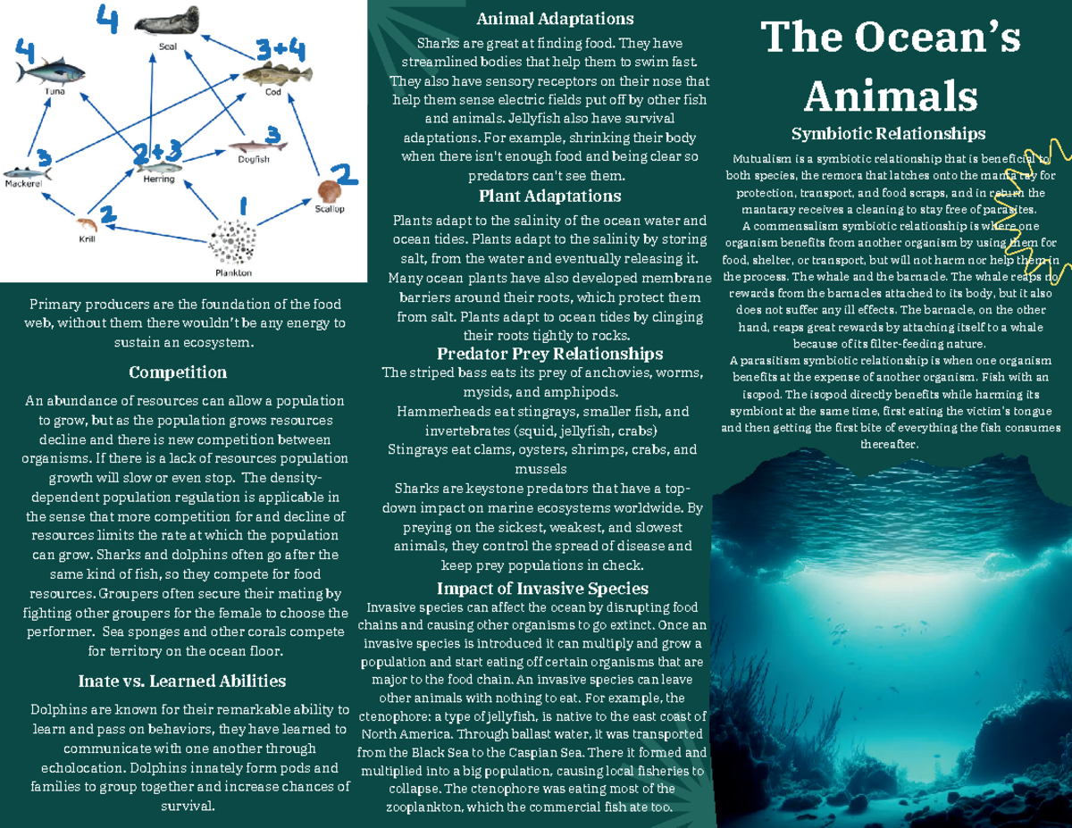 Explore The sea - The PNG and brochure - Sharks are great at finding ...