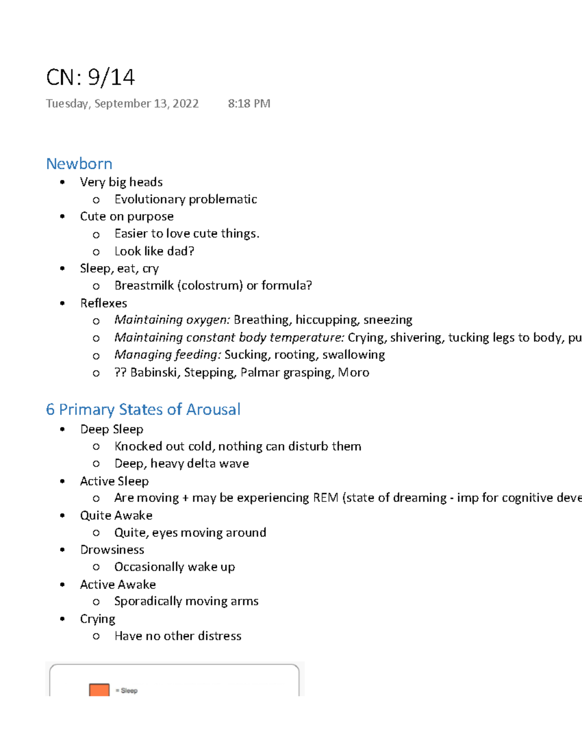 Cn 9 14 Child Development Notes Newborn Very Big Heads Evolutionary