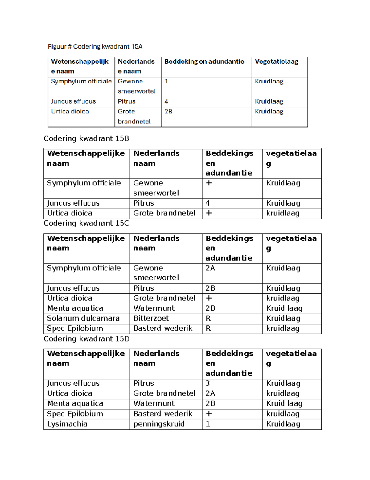 Codering kwadrant 15B - project blok 1 uitwerkings deel - Codering ...