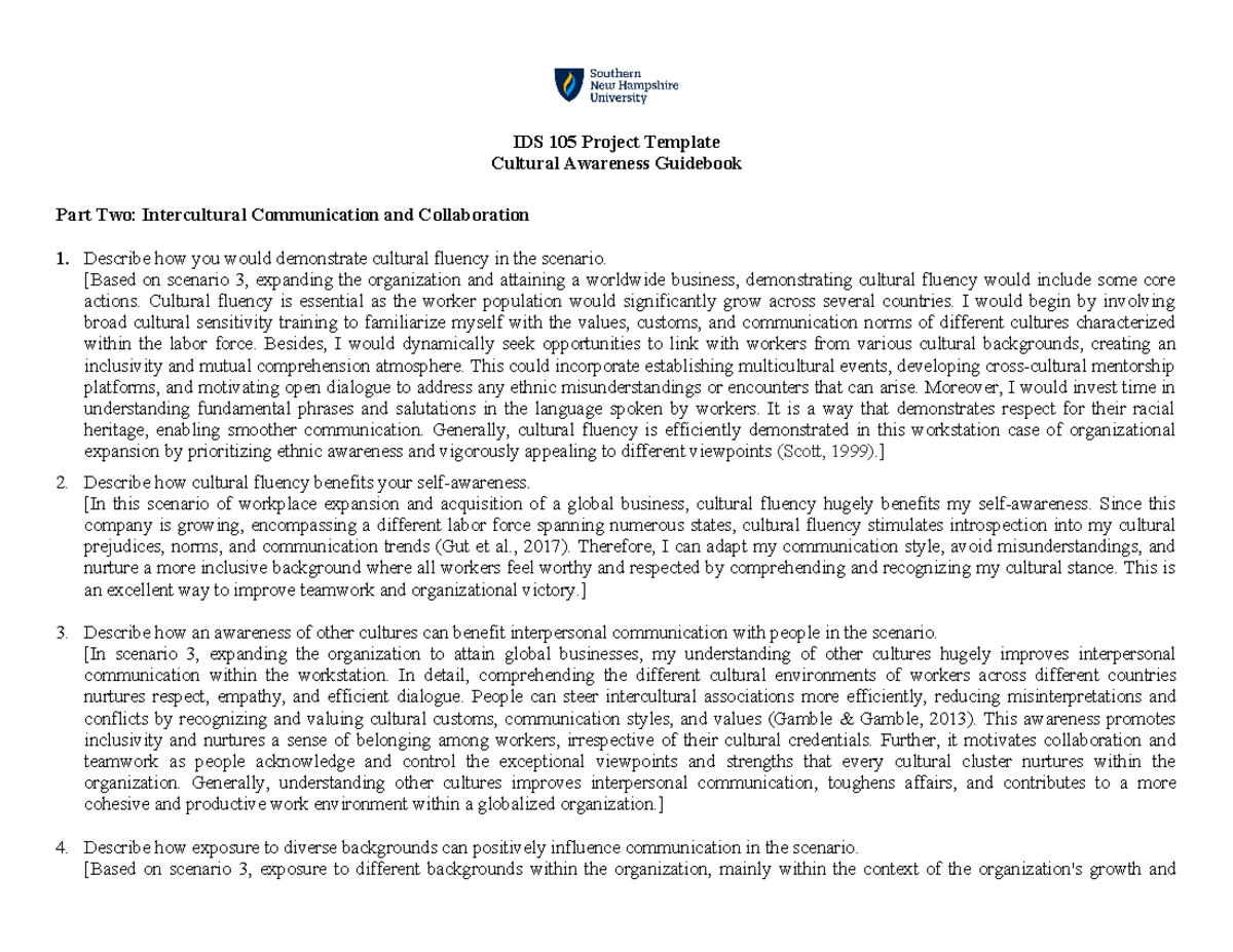 IDS 105 Project Template (Part Two) - IDS 105 Project Template Cultural ...