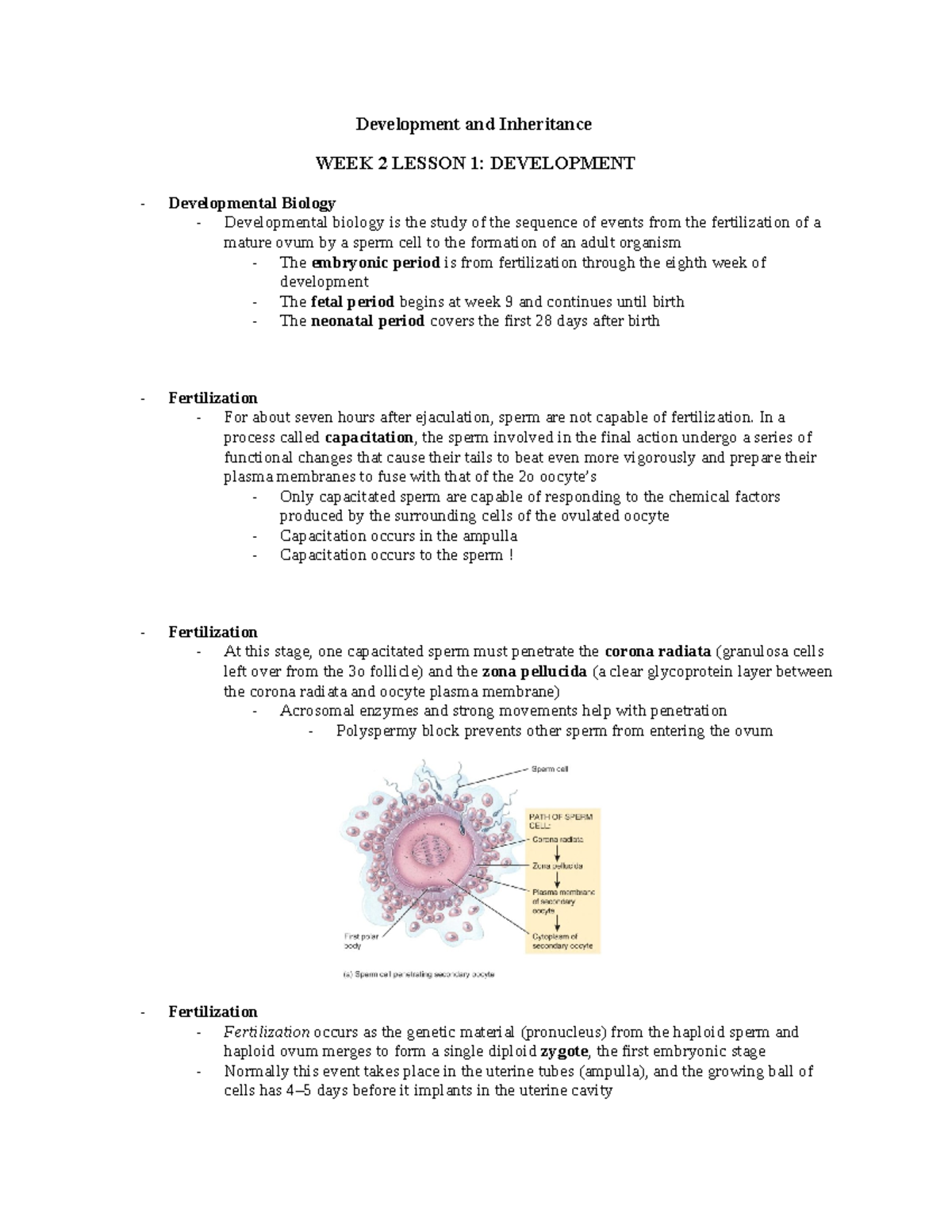 Development and Inheritance - In a process called capacitation, the ...