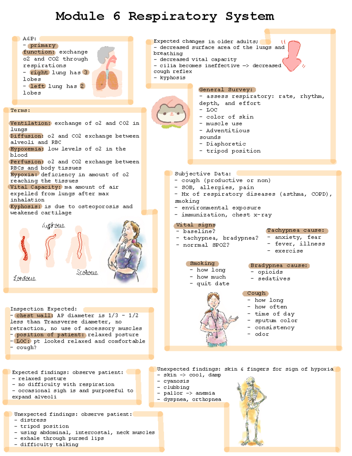 Respiratory System - some notes from lecture - Module 6 Respiratory ...