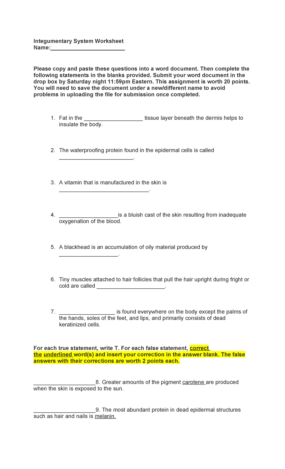 BIO 202 Integumentary System Worksheet - Updated - Integumentary System ...