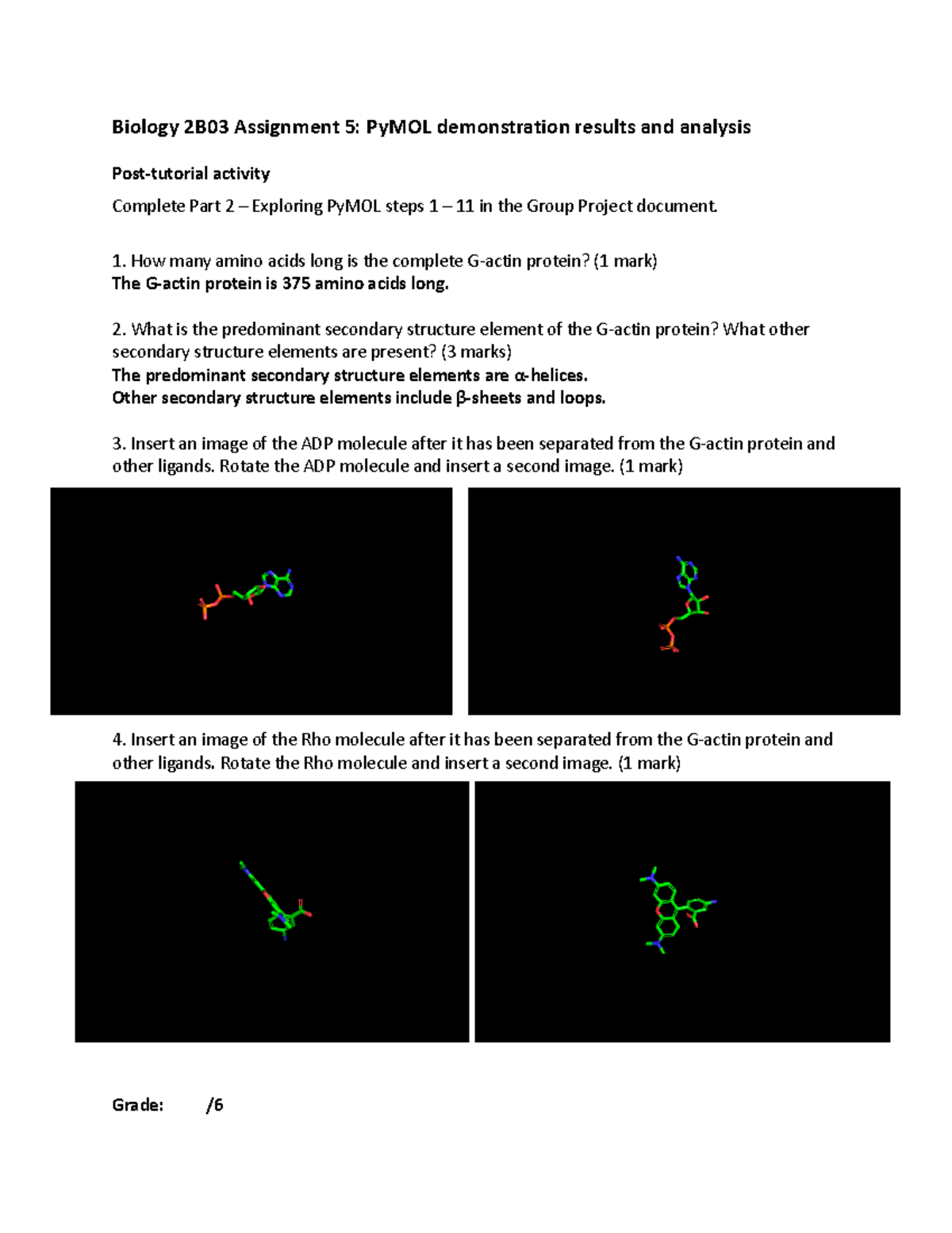 Tutorial Assignment 5- Py MOL demonstration - Biology 2B03 Assignment 5 ...