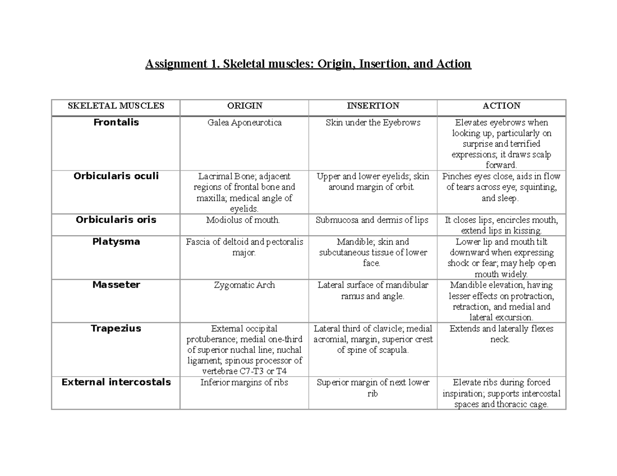 Skeletal Muscles - Assignment 1. Skeletal muscles: Origin, Insertion ...