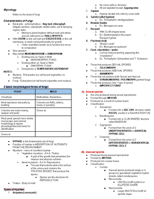 THE- Epithelial- Tissue- Reviewer - THE EPITHELIAL TISSUE Epithelium is ...