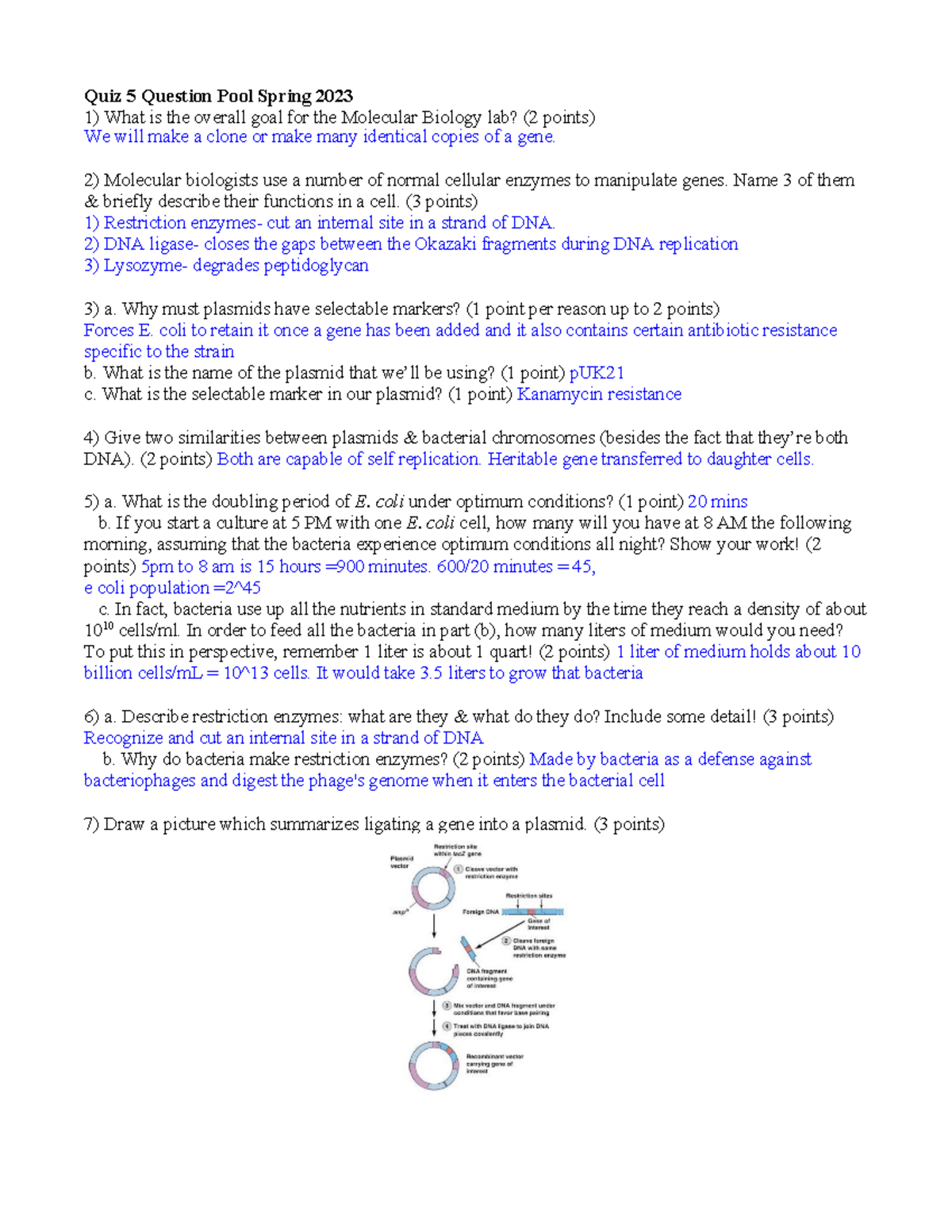 Quiz 5 Question Pool Spring 2023 - Quiz 5 Question Pool Spring 2023 ...