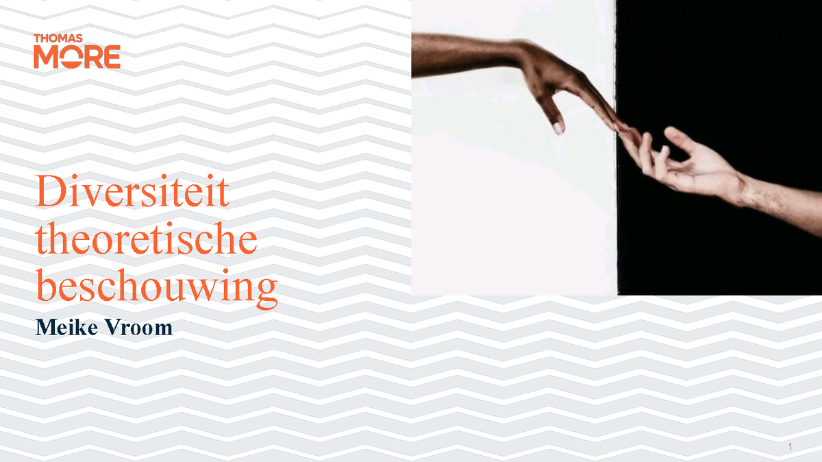 Diversiteit theorie A - 1 Diversiteit theoretische beschouwing Meike Vroom Opdracht van 6 ...