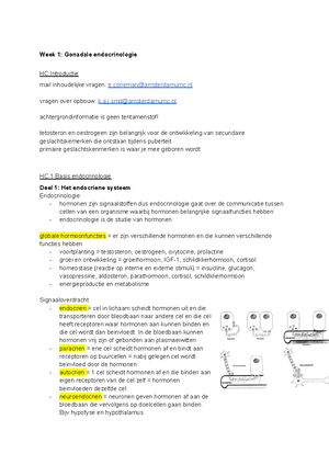 Presentatie normale ontwikkeling op morfologisch niveau - Normale ...