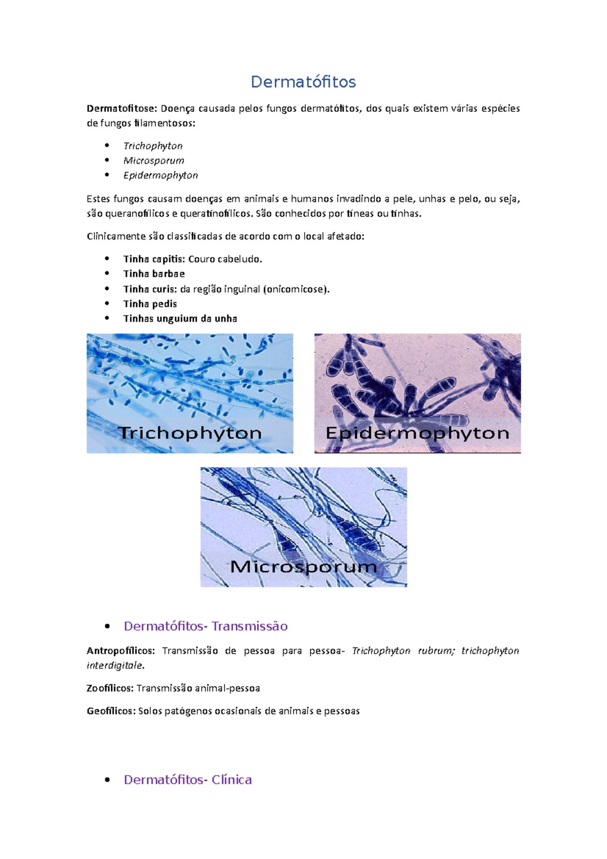 1-Micologia Dermatófitos - Dermatófitos Dermatofitose: Doença causada ...