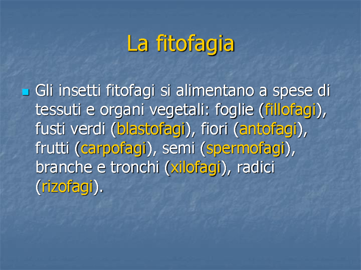 Slides, Lezione 4 - Rapporti tra insetti e piante - La fitofagia Gli ...
