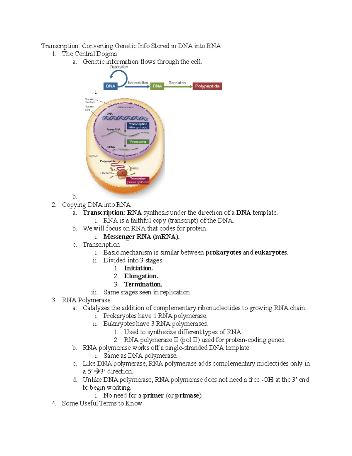 Transcription Notes - Transcription: Converting Genetic Info Stored in ...