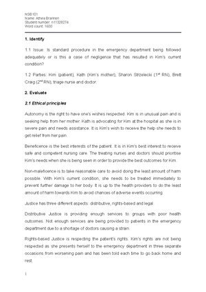 ICN Code of Ethics (revised, 2021) - THE ICN CODE OF ETHICS FOR NURSES ...