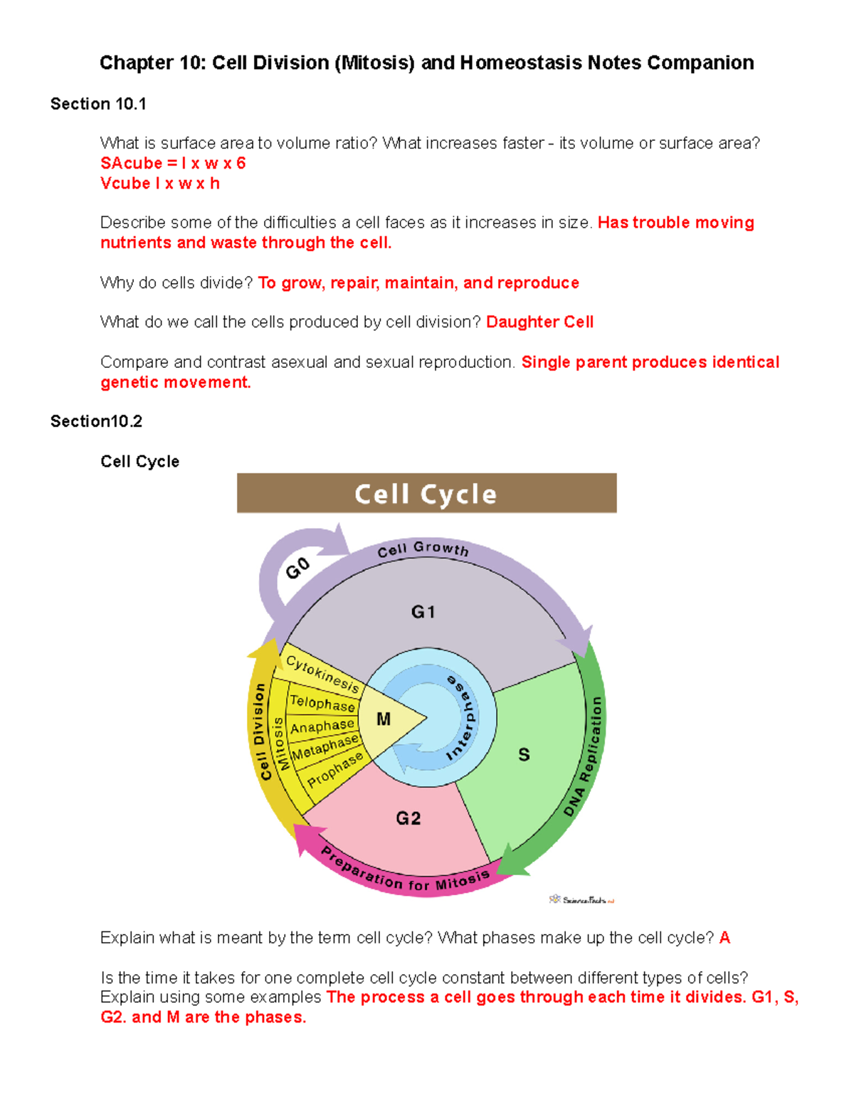 Companion Notes Chapter 10 Questions - Chapter 10: Cell Division ...