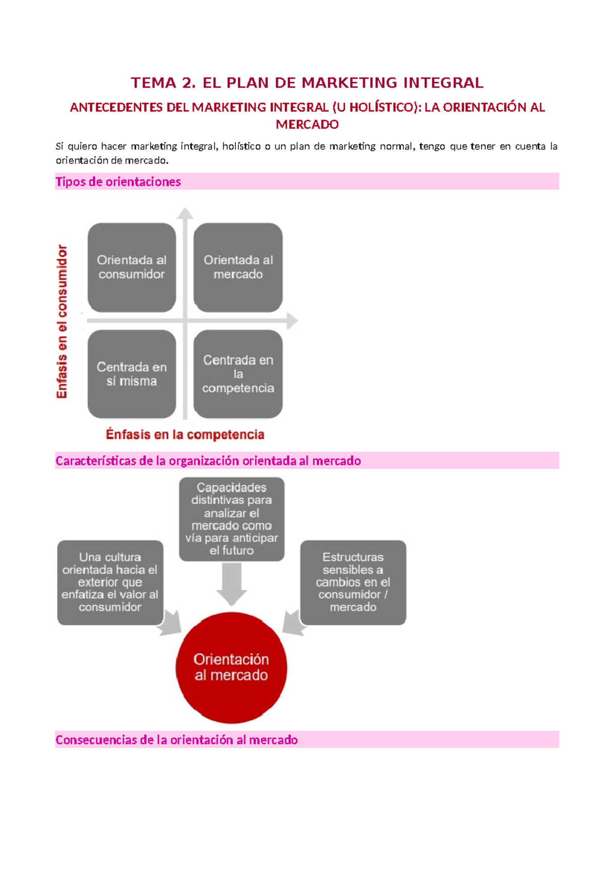 T2 Plan de Marketing - Tema 2 - TEMA 2. EL PLAN DE MARKETING INTEGRAL ...