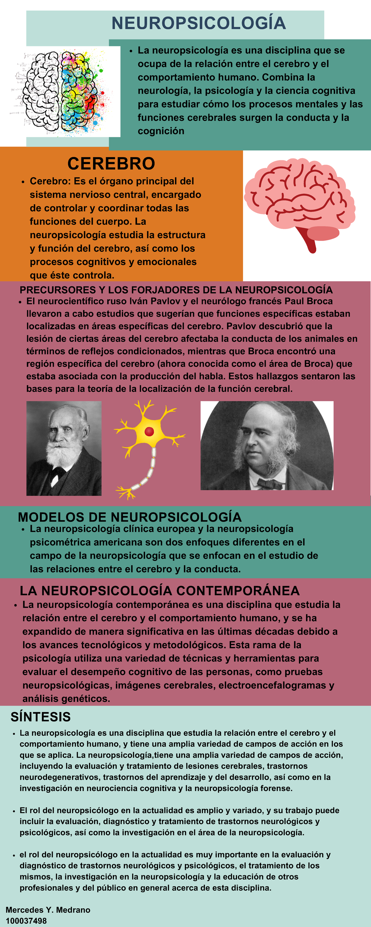 Infografía Neuropsicologia - La neuropsicología es una disciplina que ...