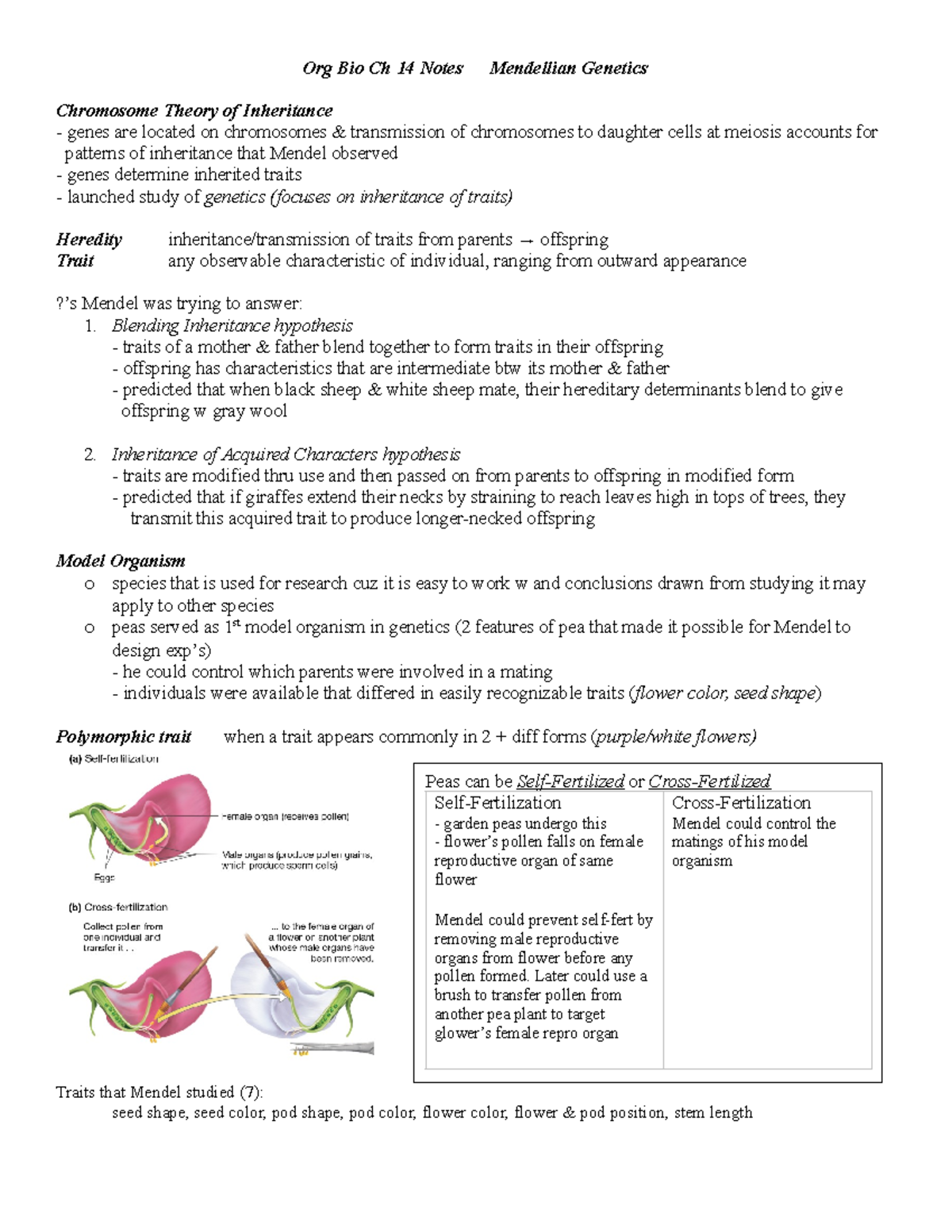 Org Bio Ch 14 Notes Mendellian Genetics - Org Bio Ch 14 Notes ...