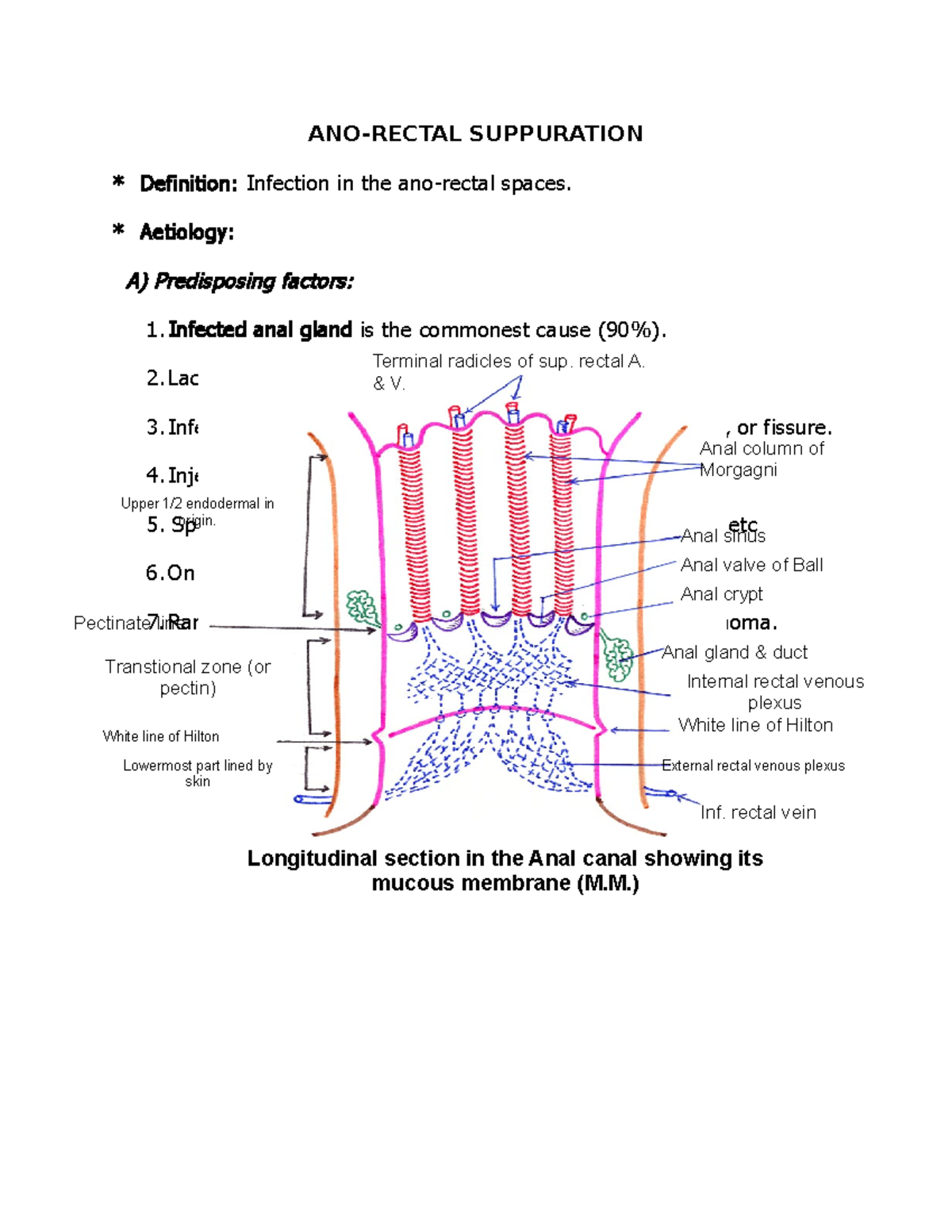 Anorectal supuration - ANO-RECTAL SUPPURATION Definition: Infection in ...