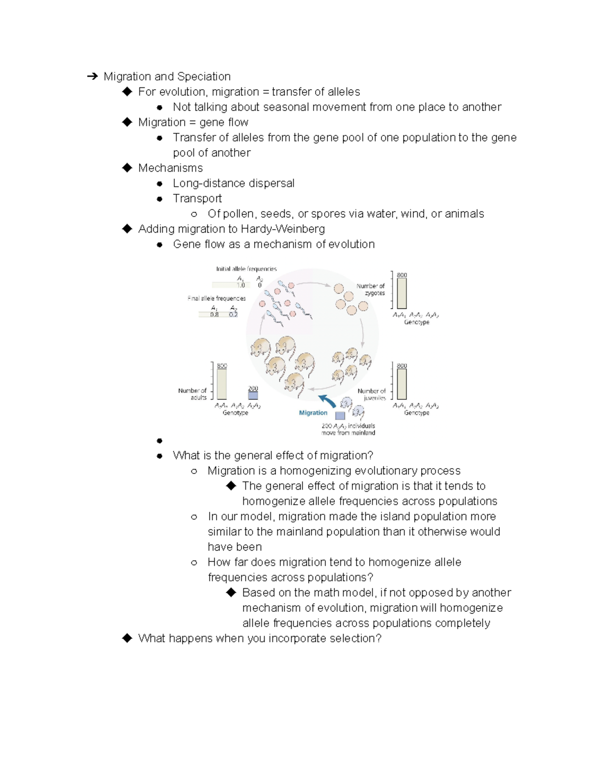 Evolution Notes Exam 2 - Migration and Speciation For evolution ...