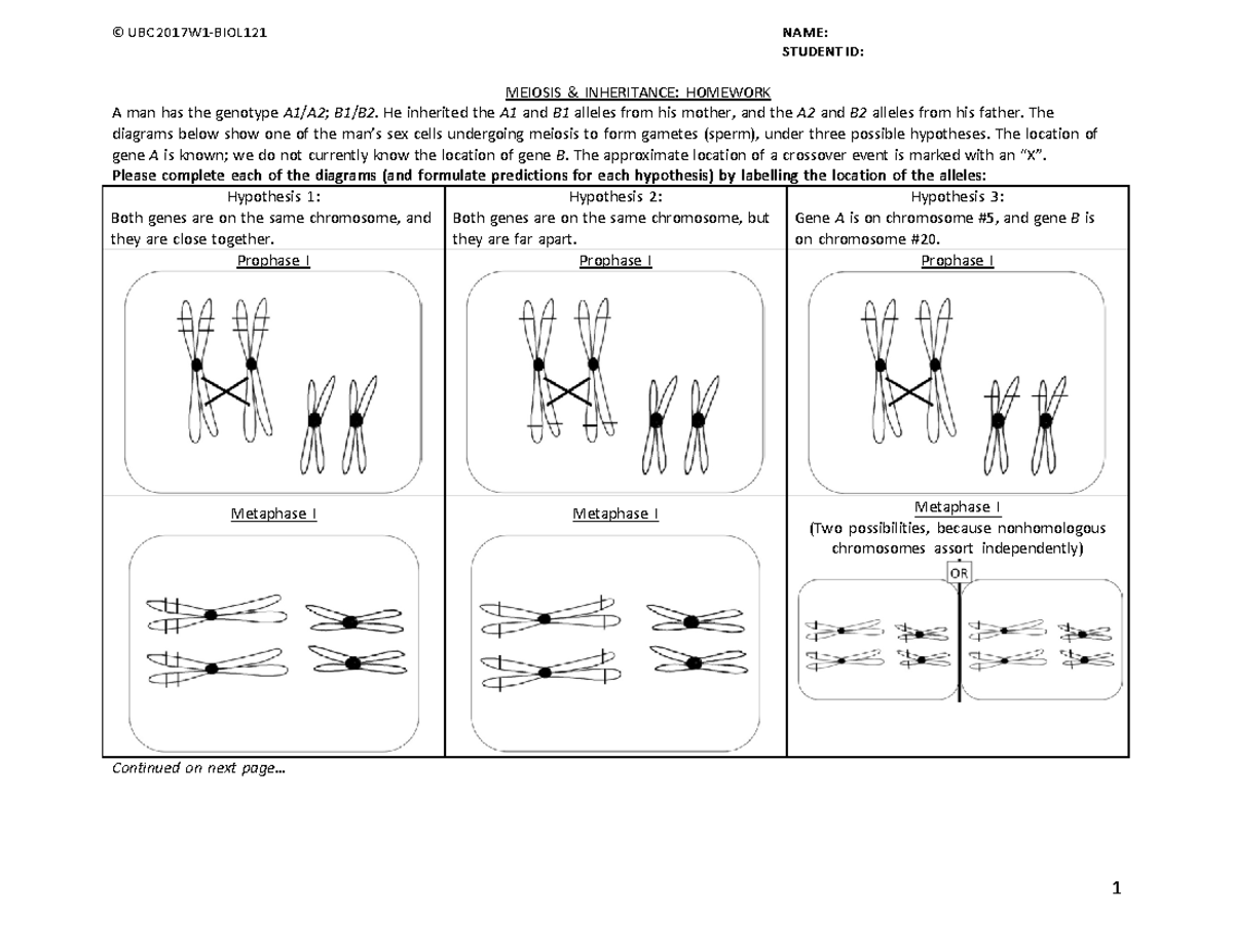 1.3 Meiosis & Inheritance Homework assignment - © UBC 2017W1-BIOL121 ...