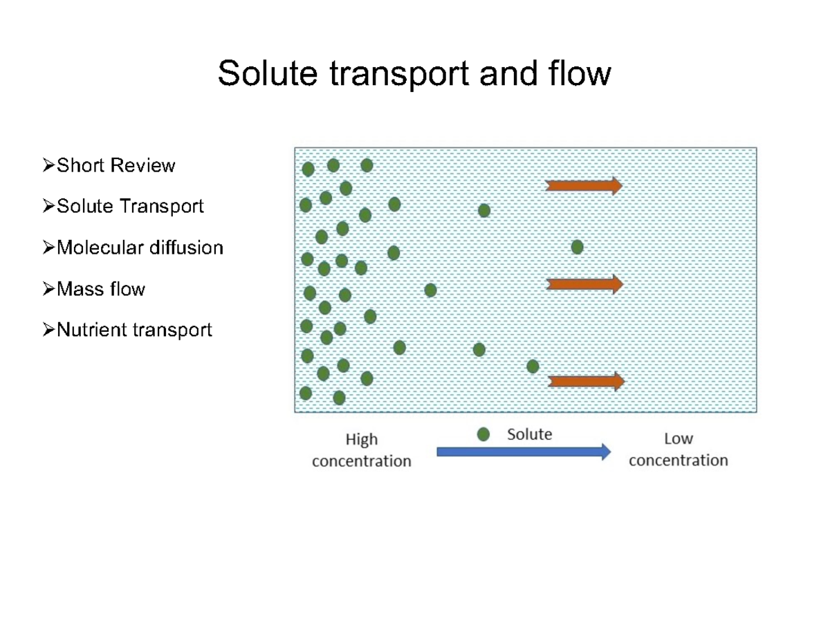 9 Solute Transport - notes for idk wht class have fun tho - Solute ...