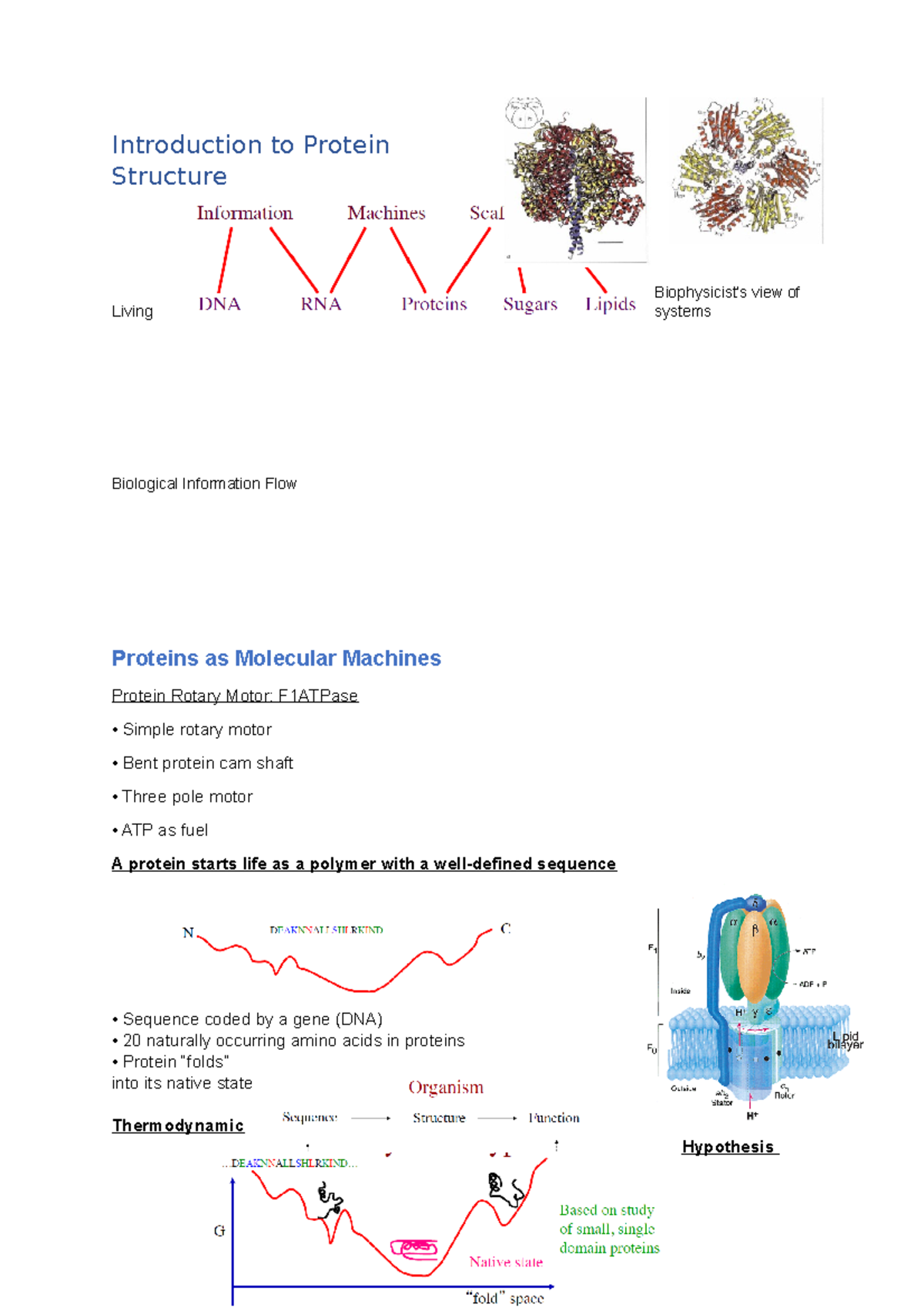 Lecture Intro to Protein Structure - Introduction to Protein Structure ...