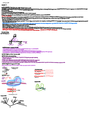 Bio study guide 2 - Exam 2 - Study Guide Exam Date: Friday Feb 28th ...