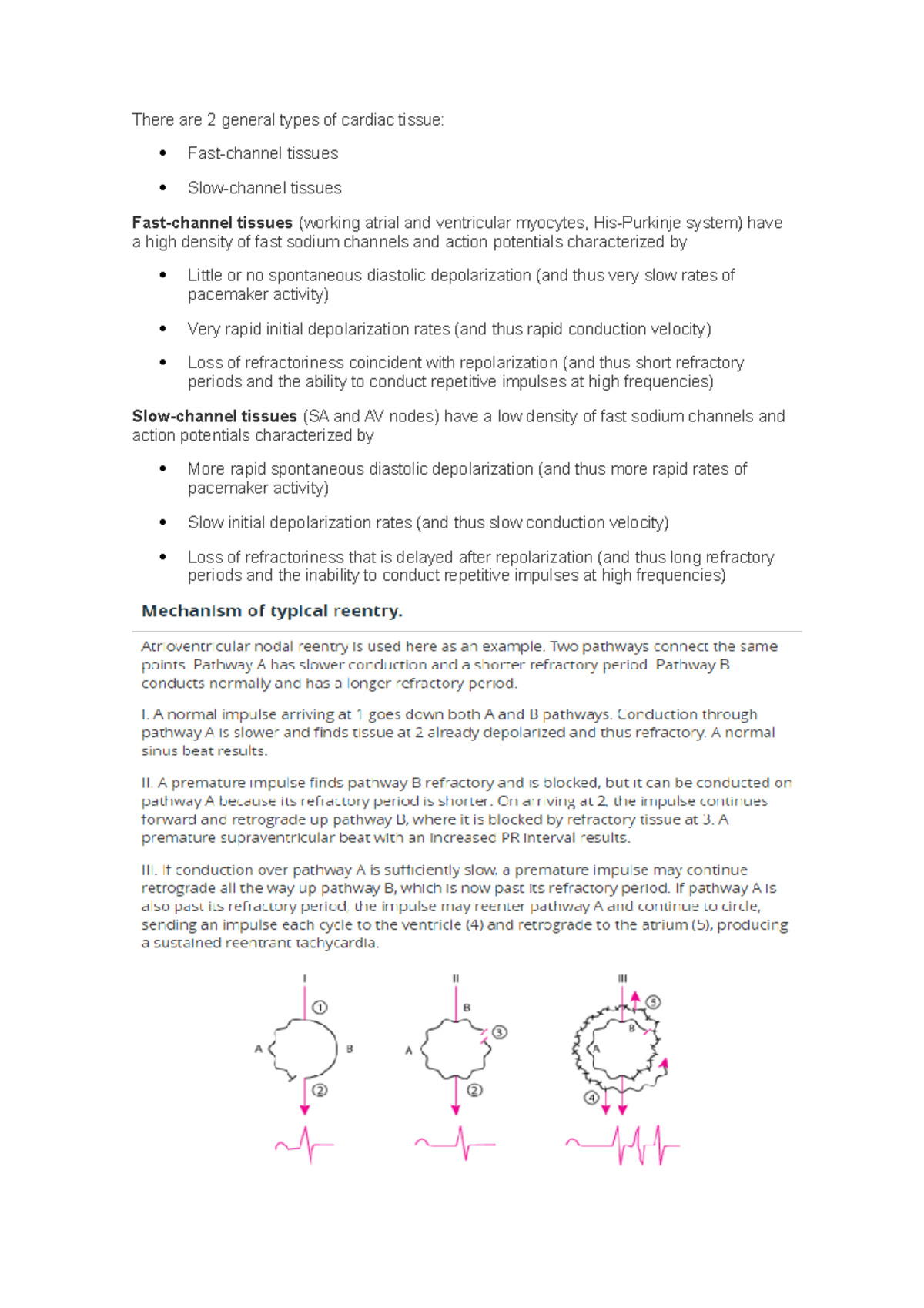 Arrhythmias - There are 2 general types of cardiac tissue: Fast-channel ...