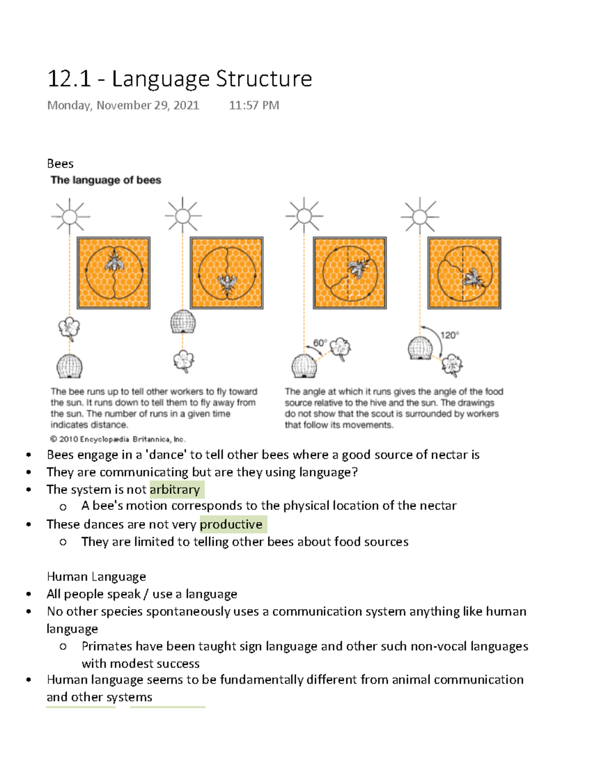 12.1 - Language Structure - Bees Bees engage in a 'dance' to tell other bees where a good source ...
