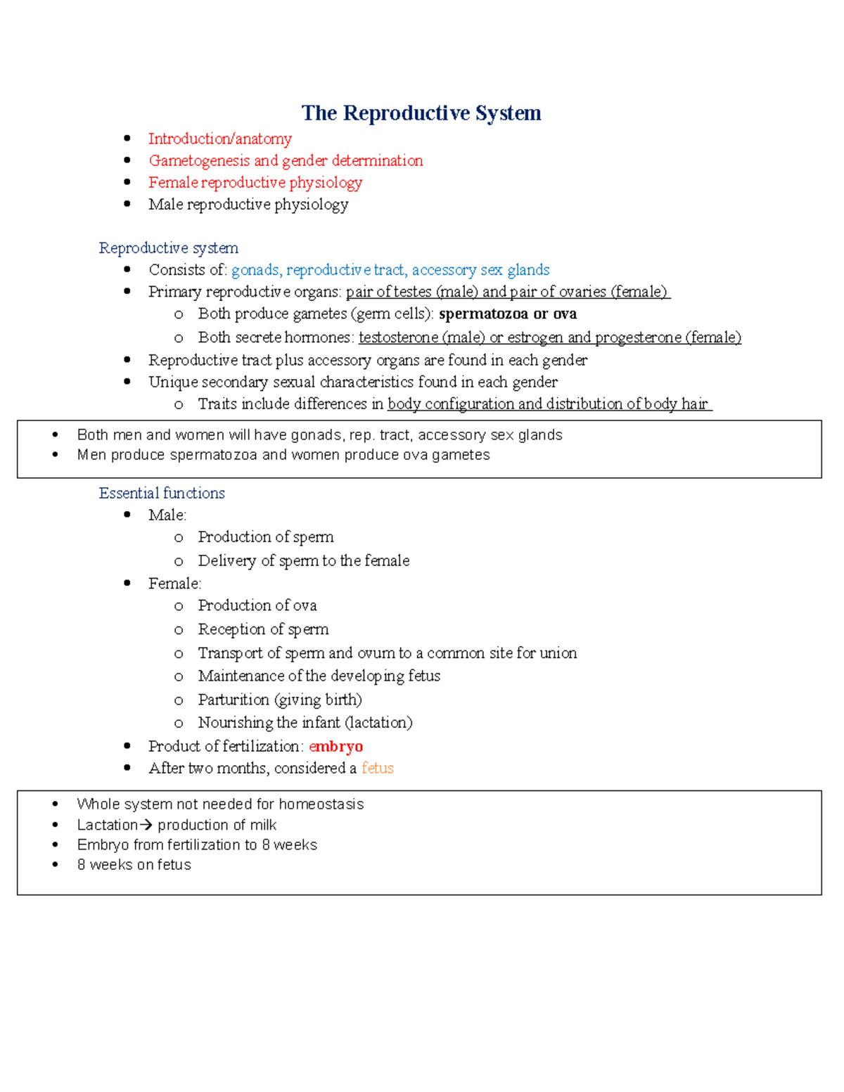 The Reproductive System 1 Notes - The Reproductive System Introduction ...