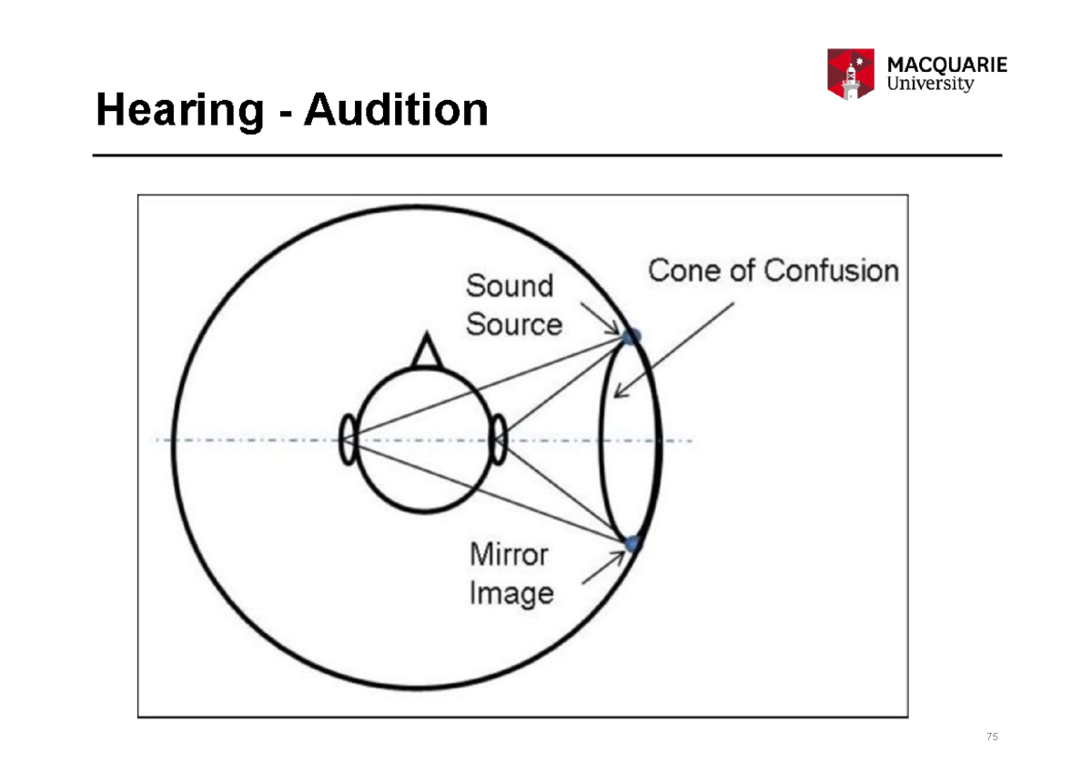 Hearing - Audition - Cone of confusion - Types of hearing loss ...