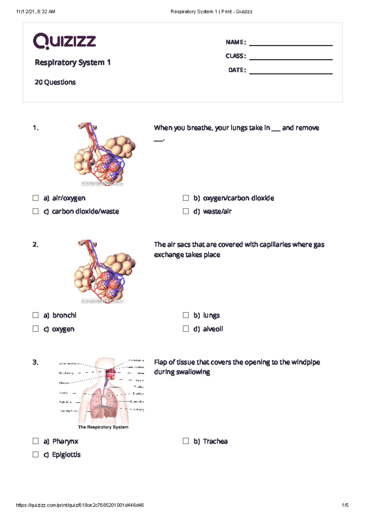 Respiratory System 1 Print - Quizizz - NAME : CLASS : DATE : 1. 2. 3 ...