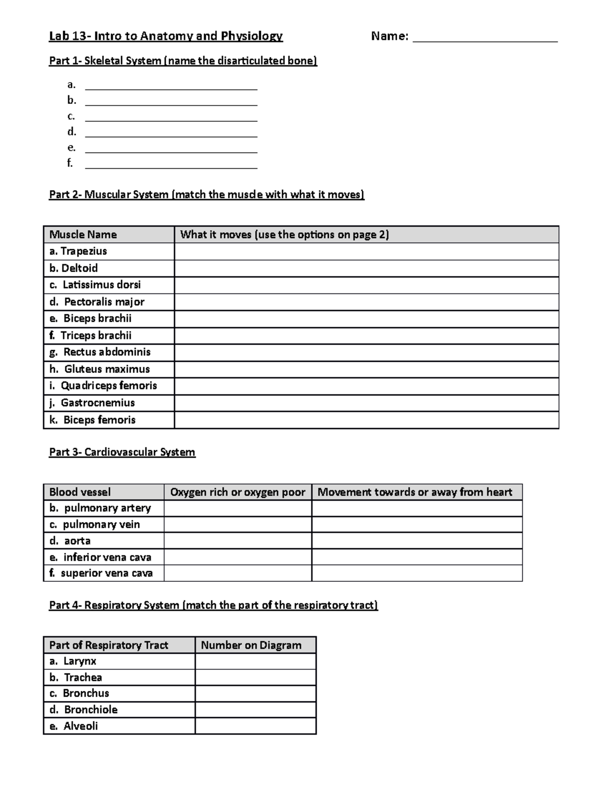Lab 13 Anatomy and Physiology Report (alternate) - Lab 13- Intro to ...